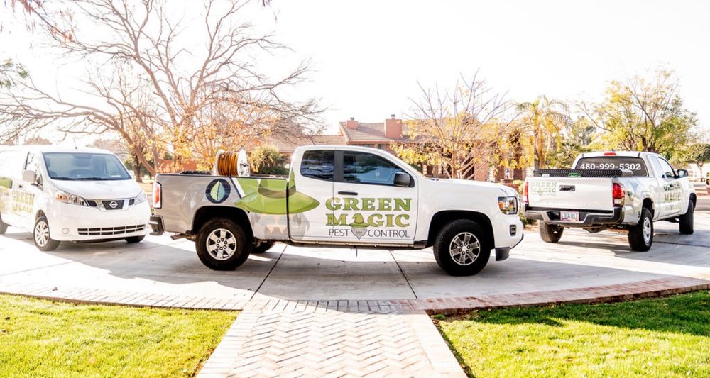 GREEN MAGIC PEST CONTROL - Updated June 2024 - 31 Photos & 97 Reviews ...