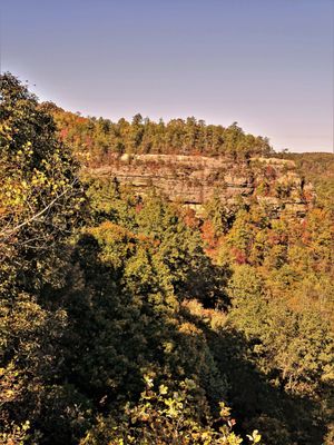 NATURAL BRIDGE STATE PARK - 578 Photos & 70 Reviews - 2135 Natural ...