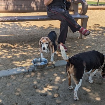 VILA BORBA PARK - Updated January 2026 - 187 Photos & 85 Reviews ...