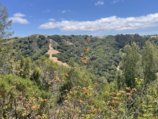 CULL CANYON REGIONAL RECREATION AREA - 163 Photos & 117 Reviews - 18627 ...