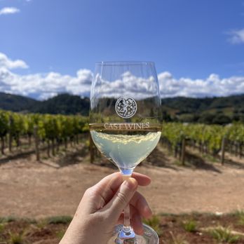 CAST WINES - Updated January 2025 - 136 Photos & 95 Reviews - 8500 Dry ...