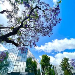 LabCorp Reviews | Read Customer Service Reviews of labcorp.com