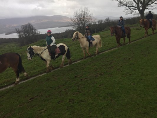 KILLARNEY RIDING STABLES - Updated June 2025 - Killarney, Co. Kerry ...