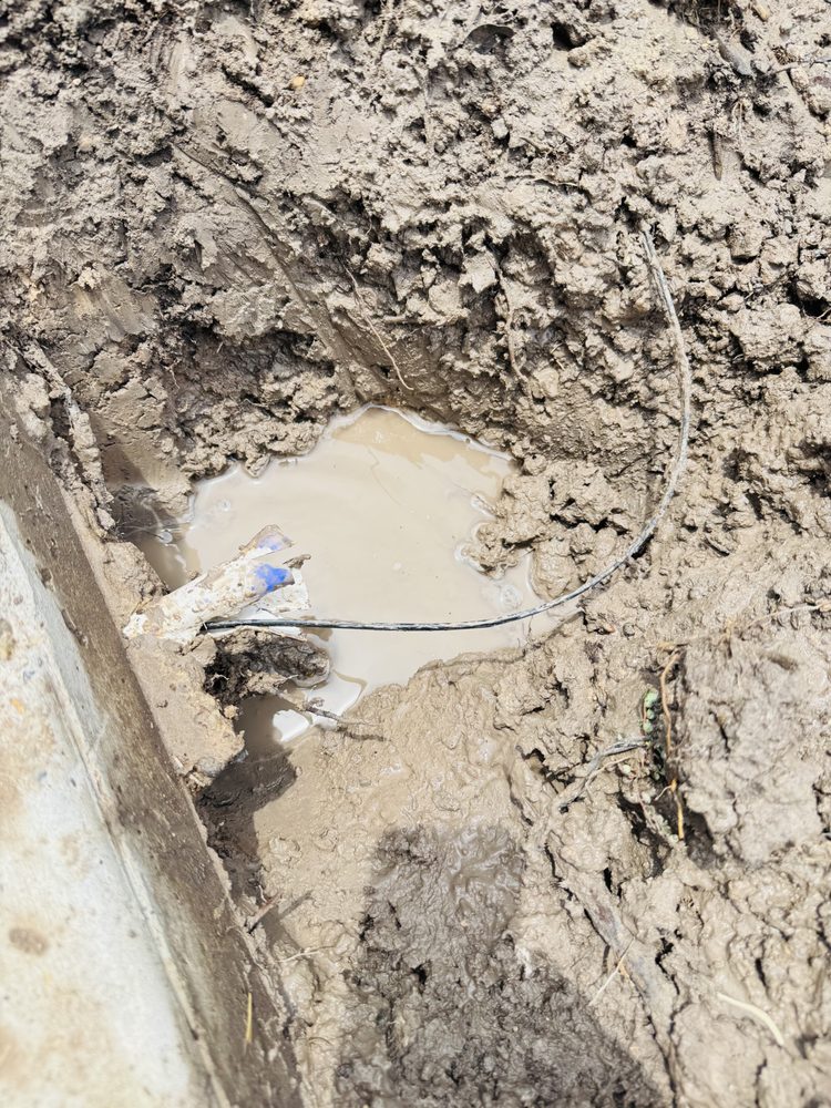 VEXUS FIBER - Updated December 2025 - 16 Reviews - Amarillo, Texas ...