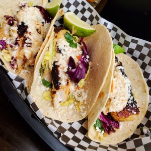 EBENEZER ALE HOUSE - 271 Photos & 274 Reviews - 4348 Seneca St, West ...