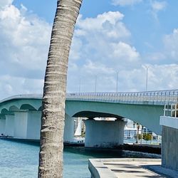 RINGLING CAUSEWAY BRIDGE - 57 Photos - John Ringling Cswy, Sarasota ...