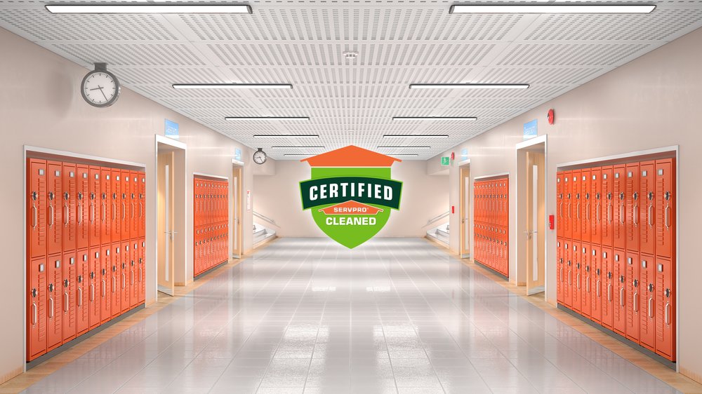 SERVPRO OF VENICE - Updated October 2024 - 17 Photos - 233 Center Ct ...