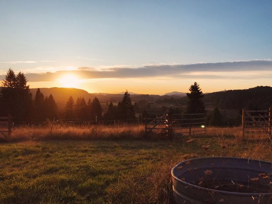 THUNDER RIDGE RANCH - Updated October 2025 - 24 Photos - 42100 Gilbert ...