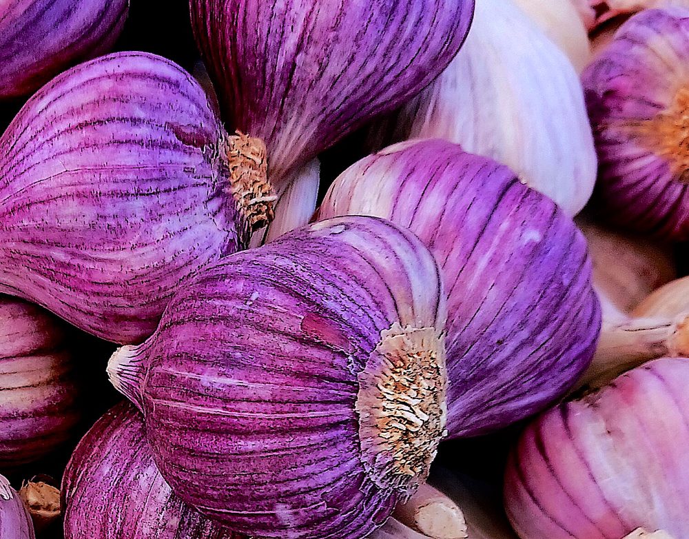 WILD STAGE FARM - Updated January 2026 - 16 Photos - 3917 Scott River ...