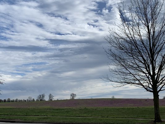 COLDSTREAM PARK - Updated October 2025 - 13 Photos - 1875 Newtown Pike ...