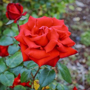 STANBRIDGE UNIVERSITY - Updated July 2024 - 83 Photos & 329 Reviews ...