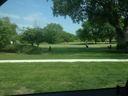 VILLAGE LINKS - 10 Photos & 24 Reviews - 485 Winchell Way, Glen Ellyn ...