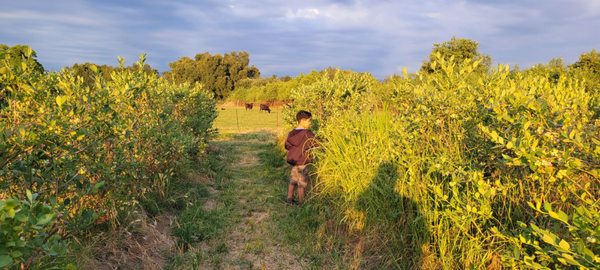 BIG L RANCH - Updated October 2025 - 88 Photos & 12 Reviews - 20899 Ave ...