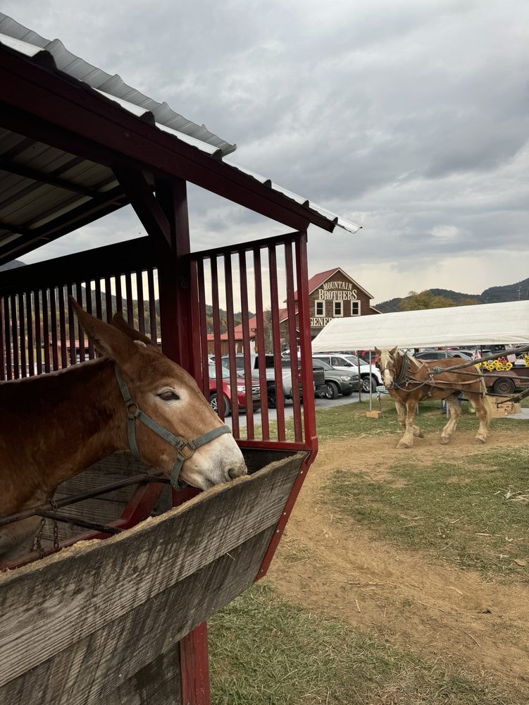 MOUNTAIN BROTHERS GENERAL STORE - Updated May 2025 - 26 Photos & 24 ...