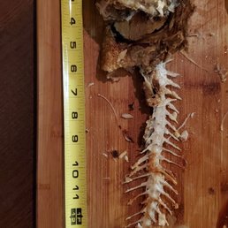 LA PENCA AZUL - Updated February 2025 - 1640 Photos & 2343 Reviews ...