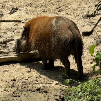 JACKSON ZOOLOGICAL PARK - Updated December 2025 - 127 Photos & 34 ...