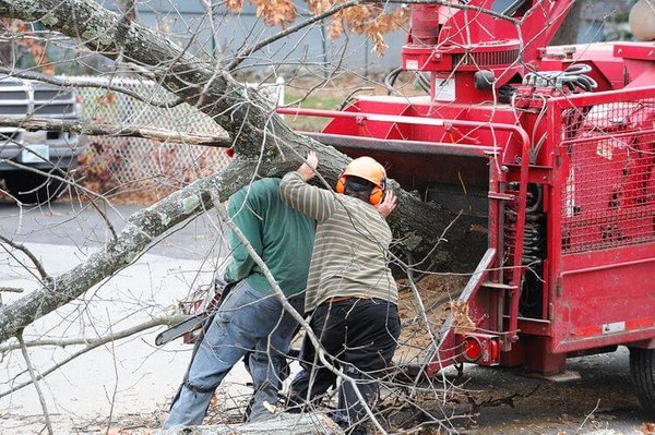 ANDERSON TREE SERVICE - Updated April 2026 - 38 Photos - 1110 S Main St ...
