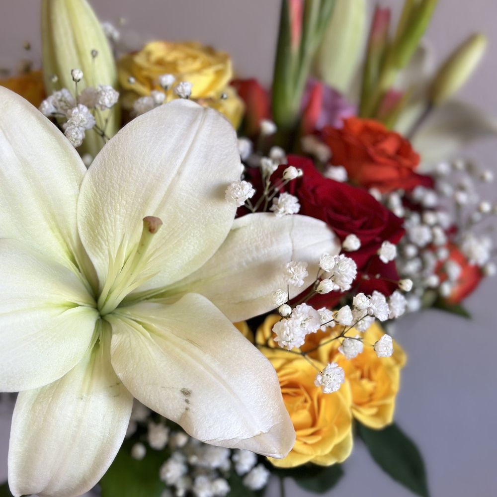 Austin Flower Market 38Th - Home Alqu