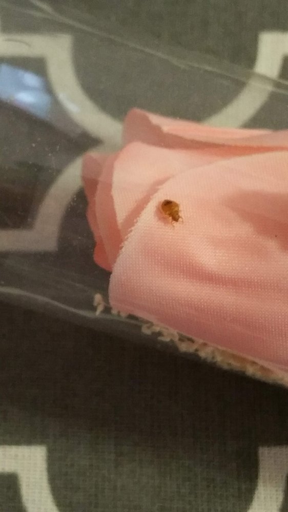 Bruce Baron ESQ - Same Day Service Available - Updated April 2025 ...