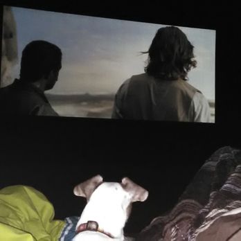 ROUTE 34 DRIVE IN THEATER - Updated December 2025 - 36 Photos & 33 ...