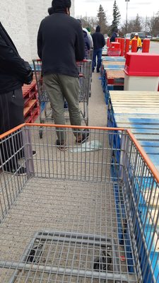 COSTCO WHOLESALE - 28 Photos & 12 Reviews - 4438 King St E, Kitchener ...