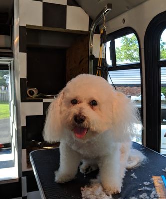 RUFF FLUFF MOBILE DOG GROOMING - Updated July 2025 - 31 Photos ...