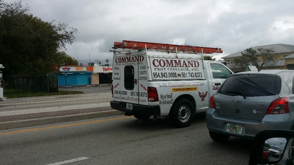 COMMAND PEST CONTROL - Updated December 2025 - 63 Photos & 46 Reviews ...