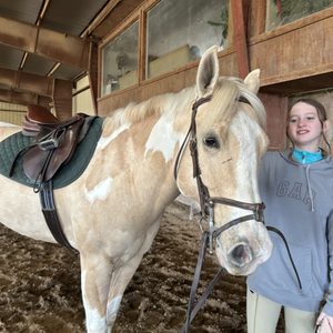 FORTEBELLA EQUESTRIAN - Updated September 2025 - 10622 Wild Flower Pl ...