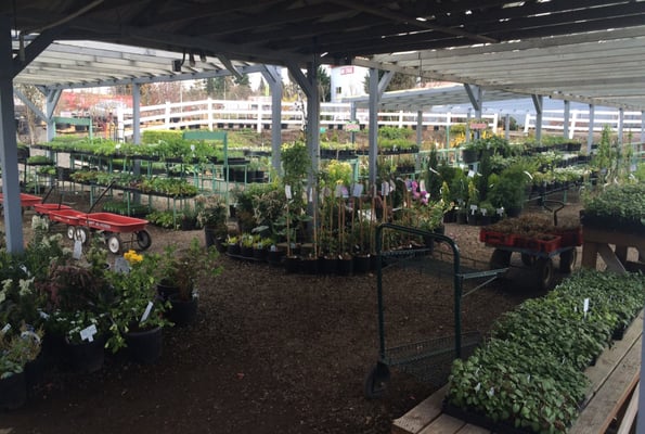 BORING SQUARE GARDEN CENTER - Updated September 2025 - 15 Reviews ...