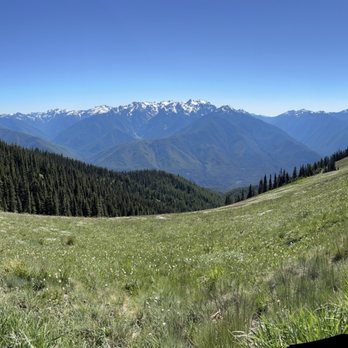 HURRICANE RIDGE - Updated August 2025 - 465 Photos & 105 Reviews - 600 ...
