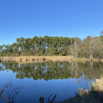PINCKNEY ISLAND NATIONAL WILDLIFE REFUGE - Updated December 2025 - 210 ...