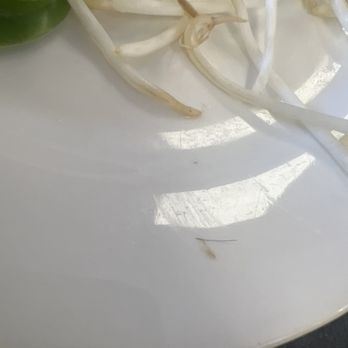 TL NOODLE HOUSE - Updated November 2024 - 252 Photos & 202 Reviews ...