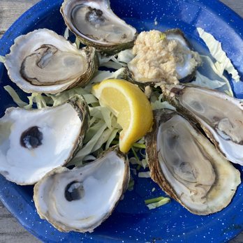 POINT PRIM CHOWDER HOUSE - Updated August 2025 - 113 Photos & 69 ...