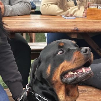 PUBLIC HOUSE - Updated September 2025 - 258 Photos & 168 Reviews - 418 ...