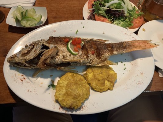 DISCO FISH RESTAURANT & GRILL - 188 Photos & 107 Reviews - Seafood ...