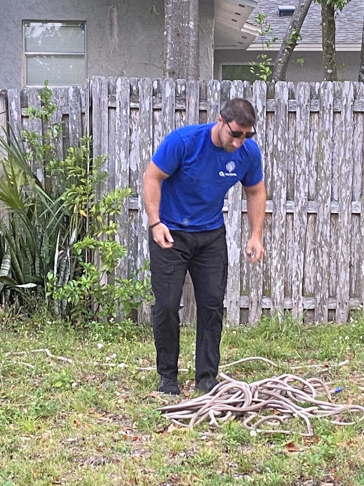 O2 TREE SERVICE - Updated July 2025 - Orlando, Florida - Tree Services ...