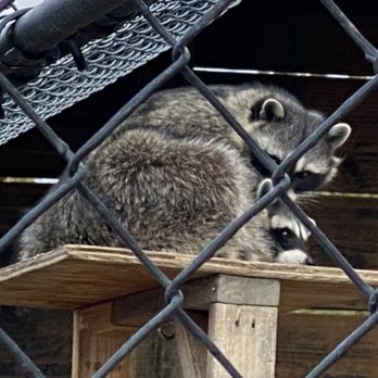 ANIMAL ARK - 495 Photos & 144 Reviews - 1265 Deerlodge Rd, Reno, Nevada ...