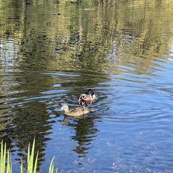 LAKE FENWICK PARK - Updated October 2024 - 114 Photos & 28 Reviews ...