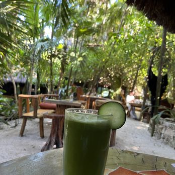 RAW LOVE - Updated April 2025 - 374 Photos & 201 Reviews - Carretera ...