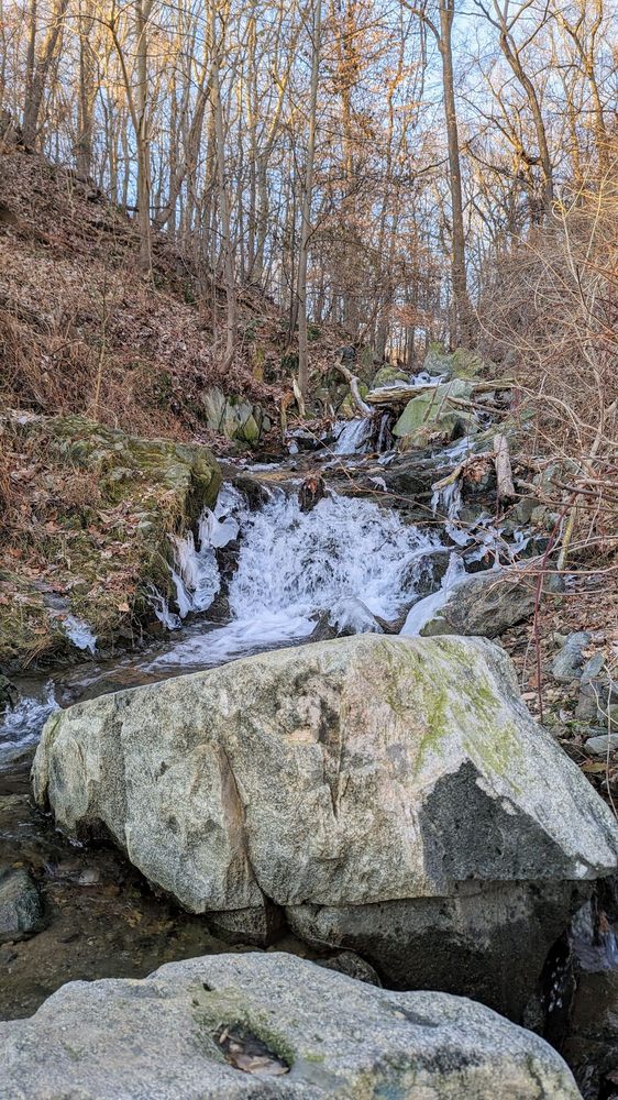 TURKEY RUN PARK - Updated October 2025 - 92 Photos & 25 Reviews ...