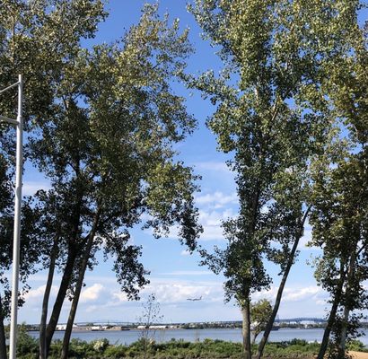 RIVERWINDS COMMUNITY CENTER - 52 Photos & 15 Reviews - 1000 RiverWinds ...