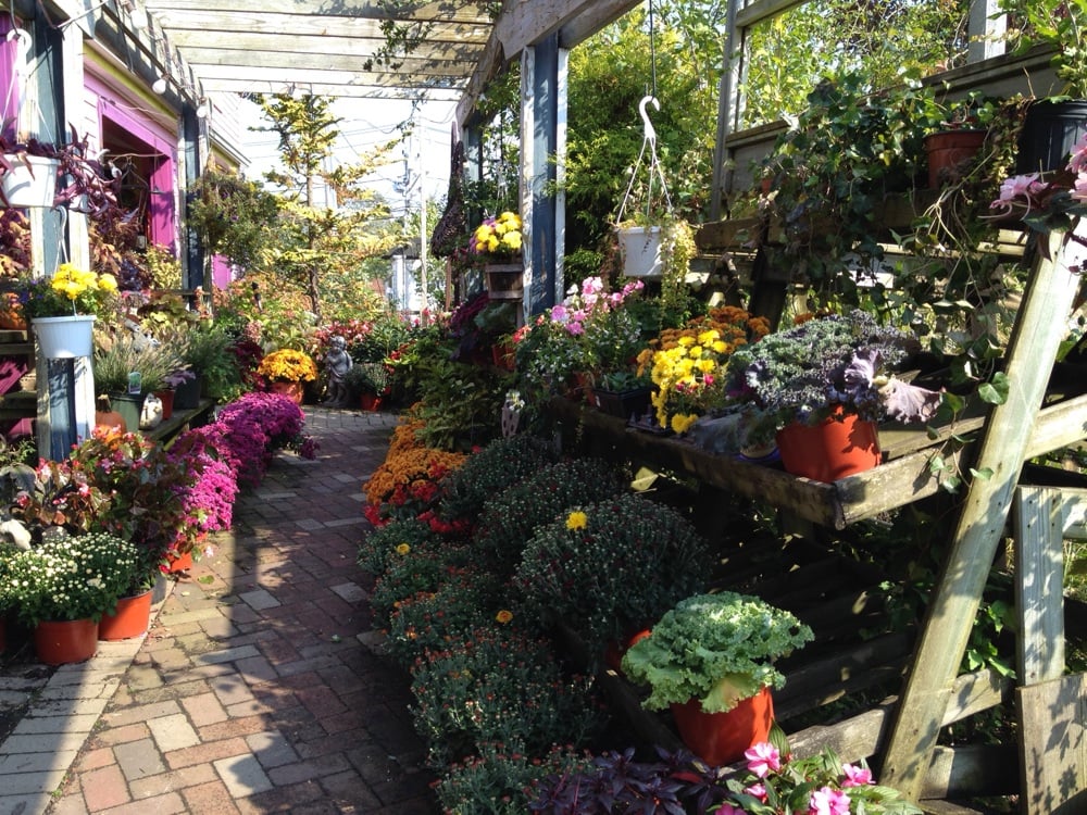 ANCHOR LANDSCAPE INCORPORATED - 229 W Main St, Sayville, NY - Yelp