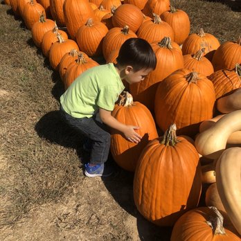 CORNUCOPIA FARM - Updated December 2025 - 34 Photos - 5444 N Rutherford ...