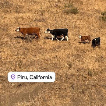 CALIFORNIA TACTICAL ACADEMY - Updated January 2026 - 190 Photos & 207 ...