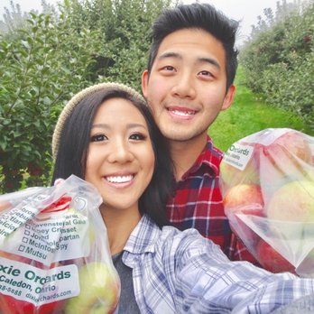 DIXIE ORCHARDS - Updated December 2025 - 53 Photos & 10 Reviews - 14309 Dixie Road, Caledon ...