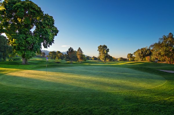 FOREST DALE GOLF COURSE - Updated May 2024 - 15 Photos & 14 Reviews ...