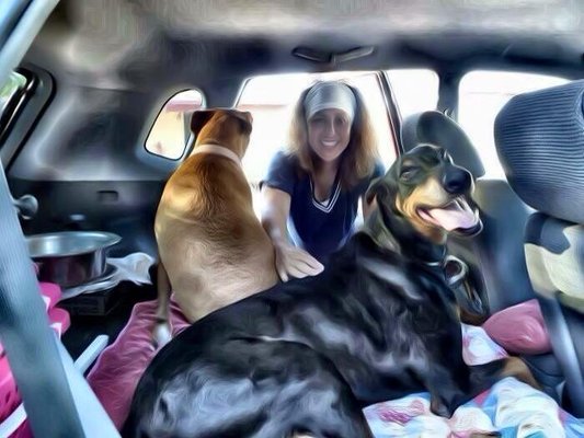 JAYMIE’S PET SITTING - Updated May 2025 - 2227 Riverview Way, Bullhead ...