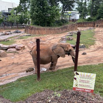ZOO ATLANTA - Updated August 2024 - 2771 Photos & 647 Reviews - 800 ...