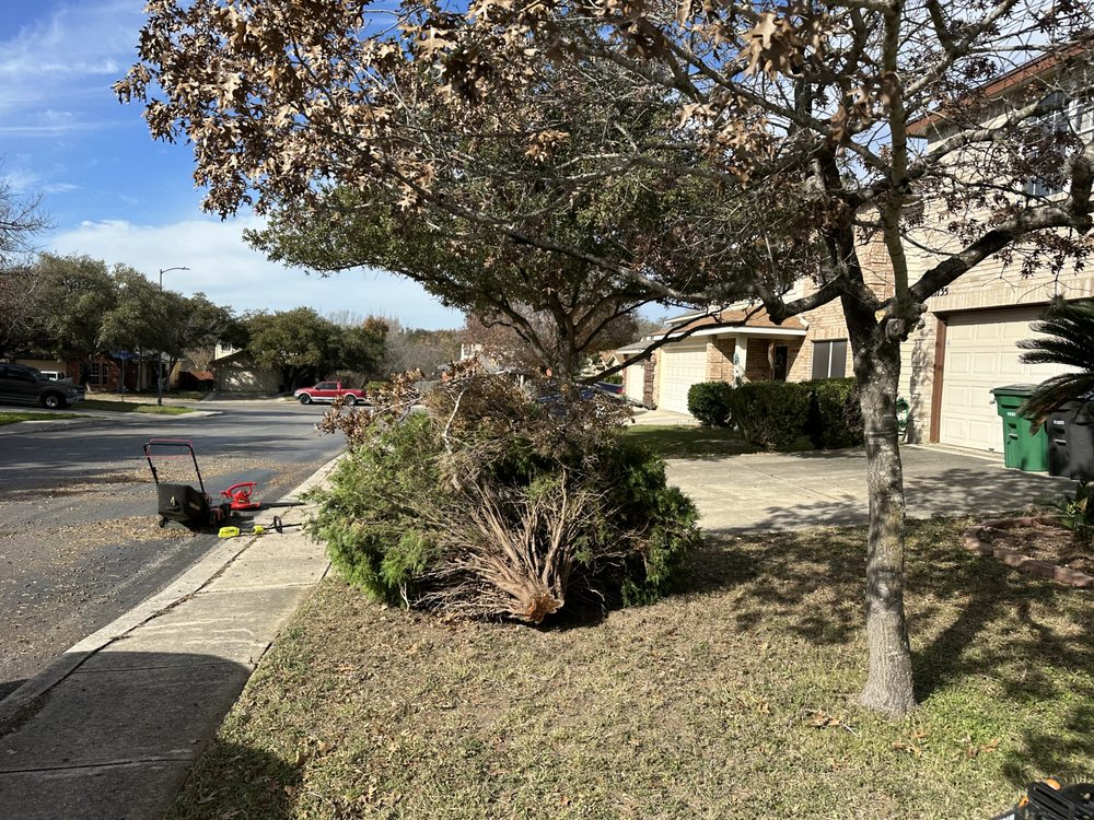 CARLITOS LAWN MAINTENANCE - Updated April 2024 - San Antonio, Texas ...