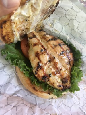 WILD WILLY’S BURGERS - Updated April 2025 - 148 Photos & 248 Reviews ...